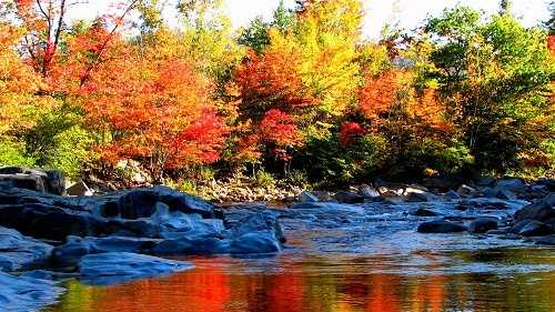 20 things Emily Riemer missed most about Boston