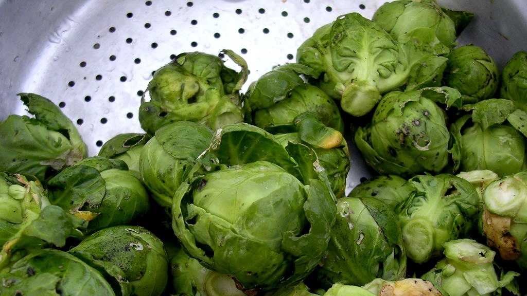 20 'powerhouse' veggies that prevent chronic disease