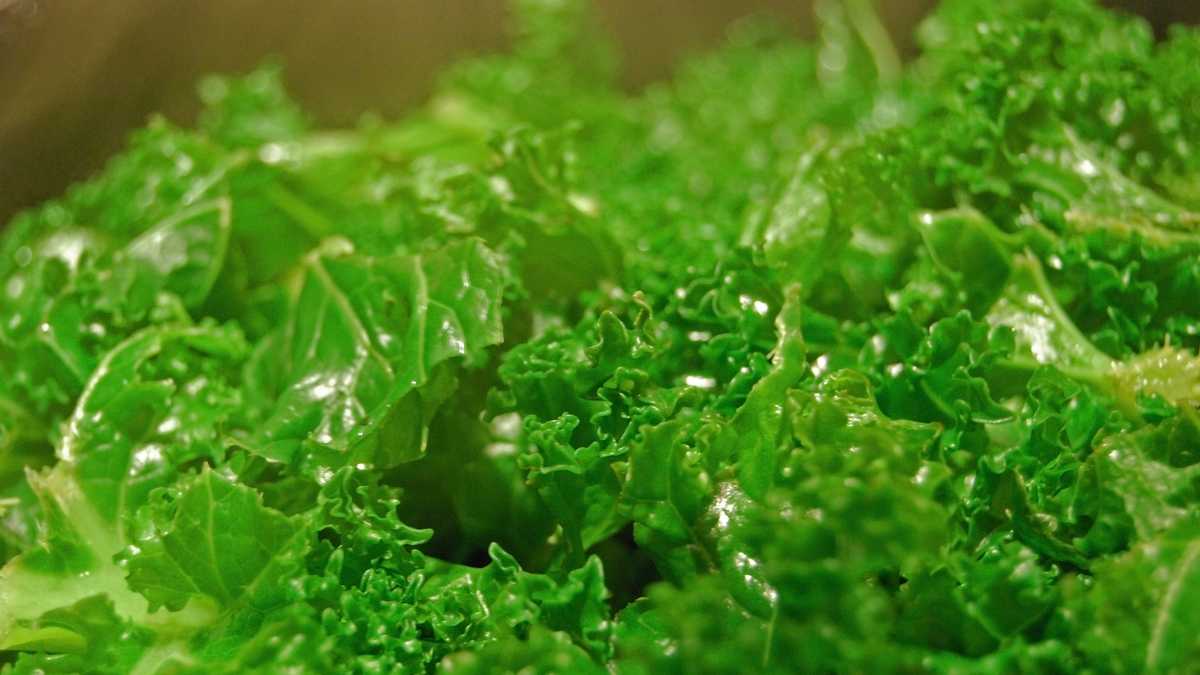 20 'powerhouse' veggies that prevent chronic disease