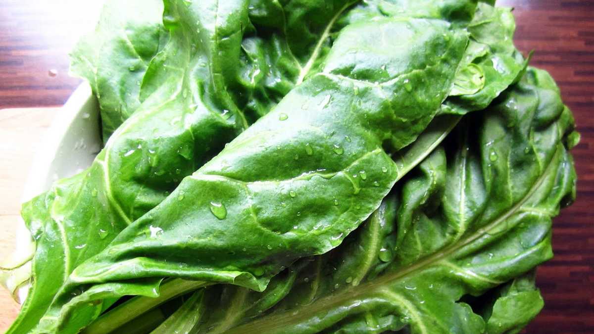20 'powerhouse' veggies that prevent chronic disease