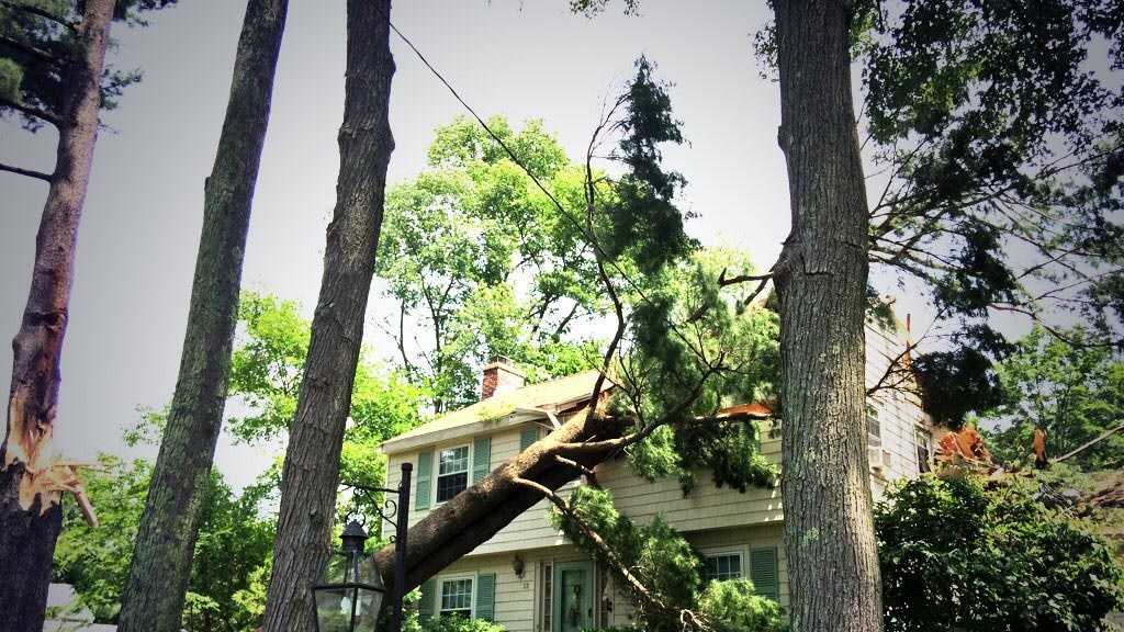 NWS: Multiple microbursts ripped down trees, wires Monday