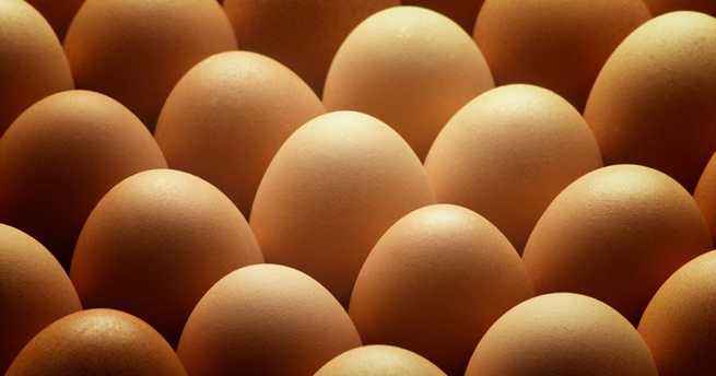 1 food you do need to refrigerate, 10 you don't