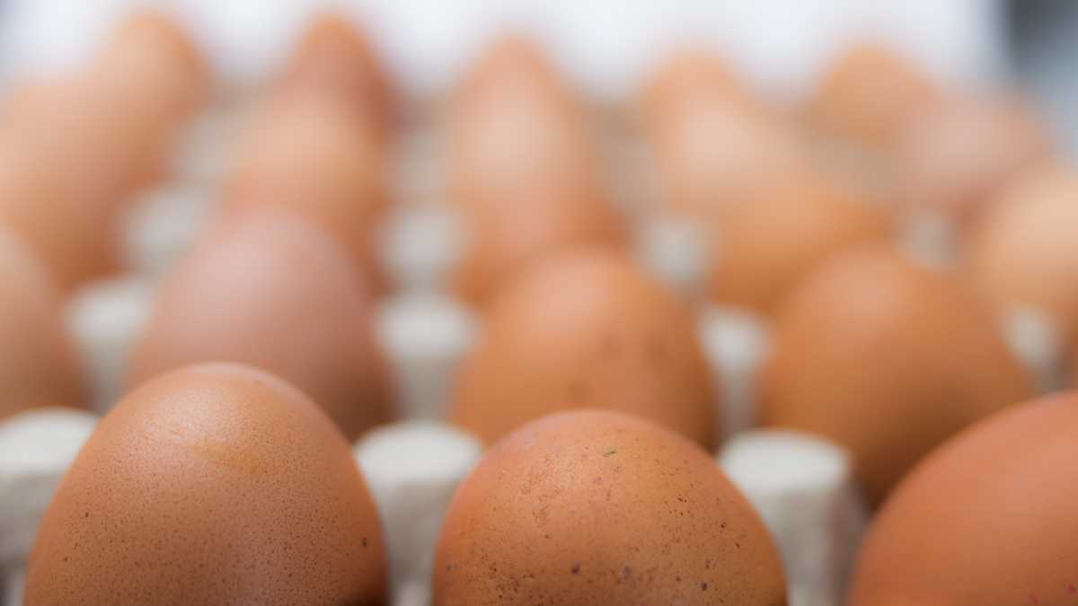 10 rules to melt fat faster