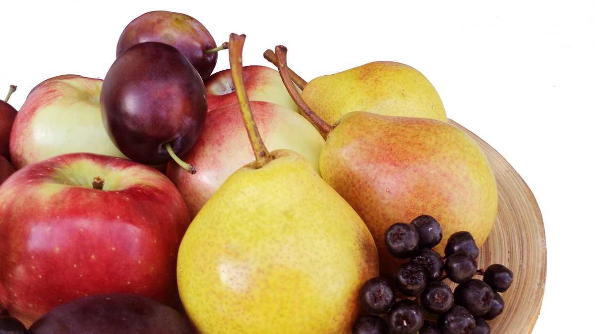 10 rules to melt fat faster