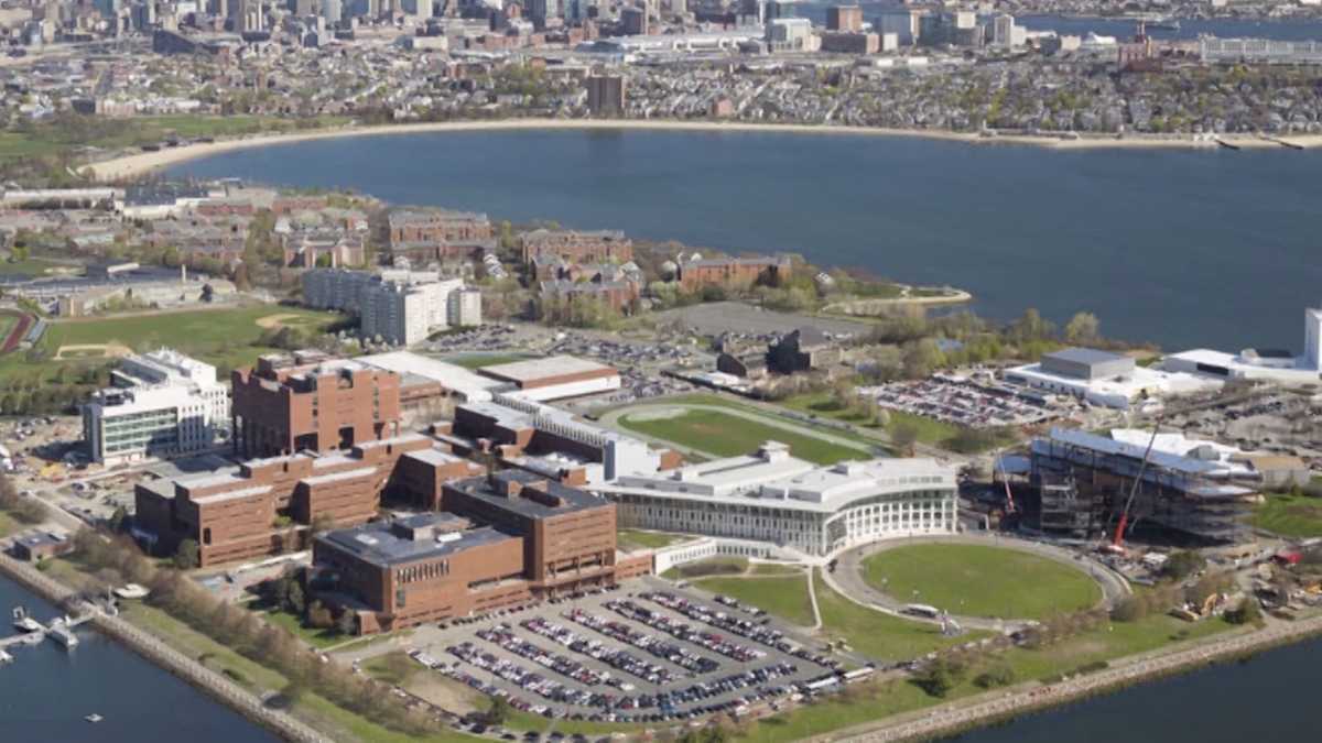 Friday, August 29: UMass Boston