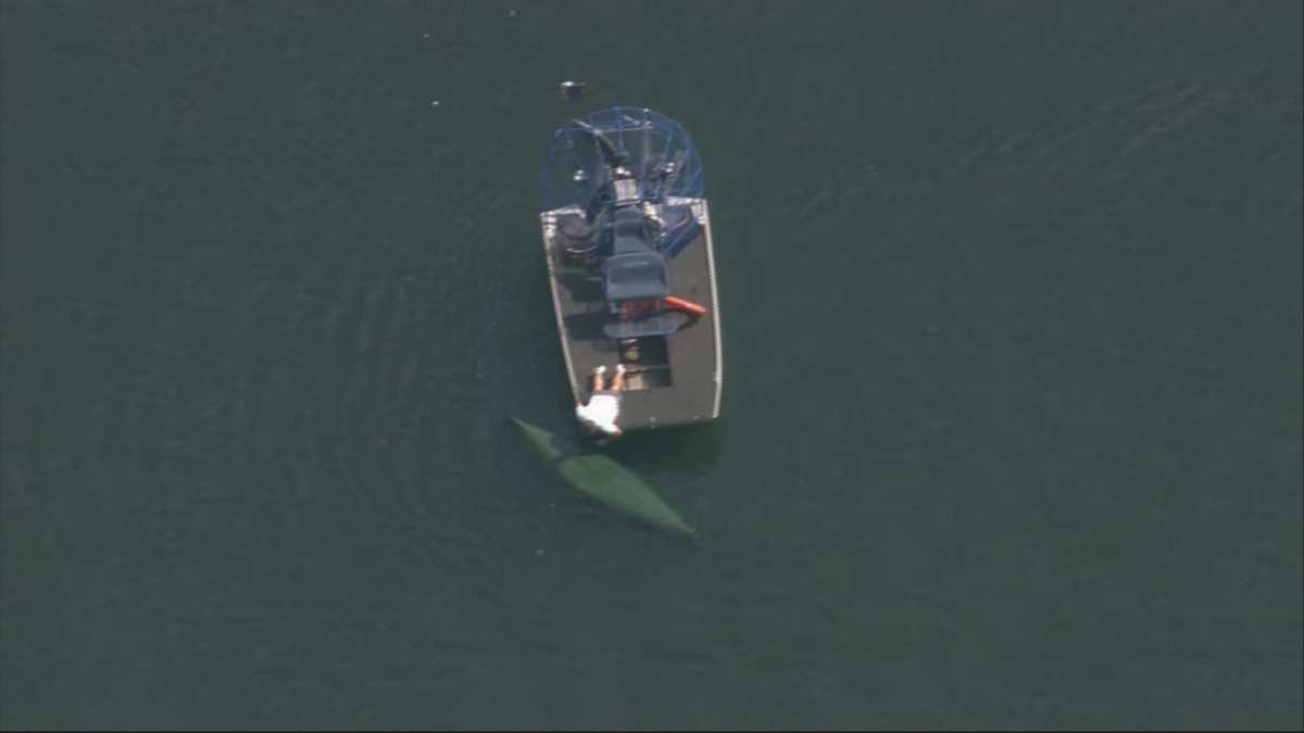 Firefighters save father and son in overturned canoe