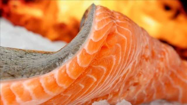 Safest fish to eat, fish to avoid