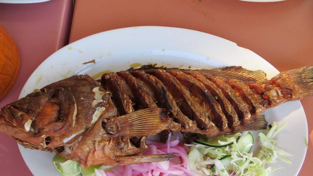 Safest fish to eat, fish to avoid