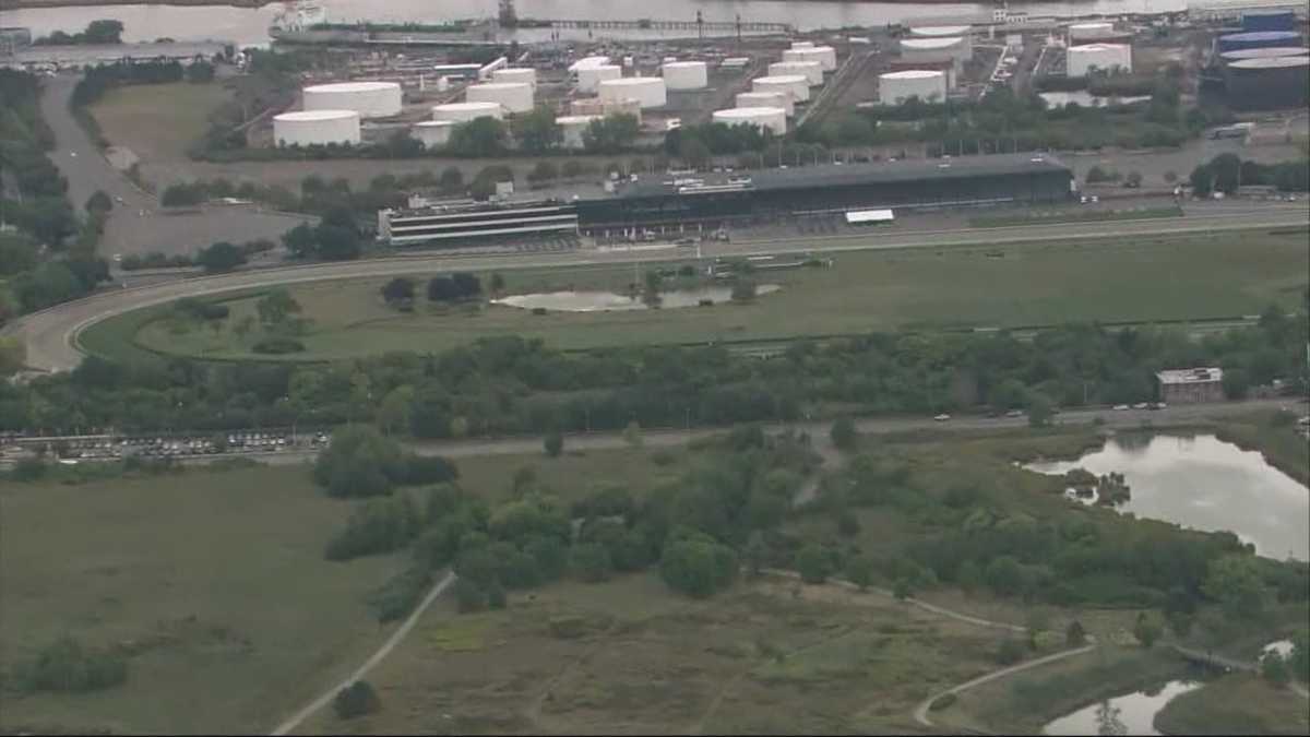 Raynham Park owner applies for horse-racing license