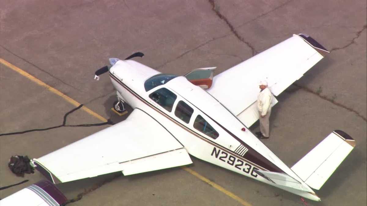 Pilot, distracted by bee, forgets to lower landing gear