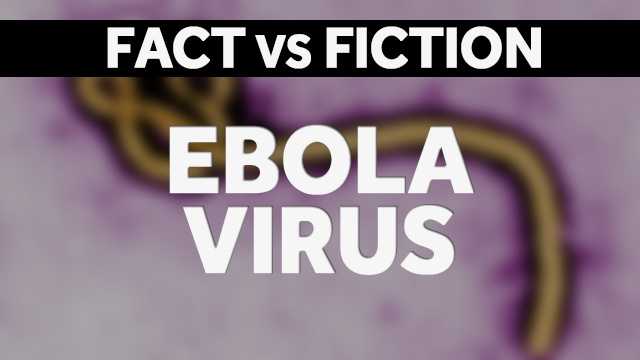 Ebola Fact vs. Fiction