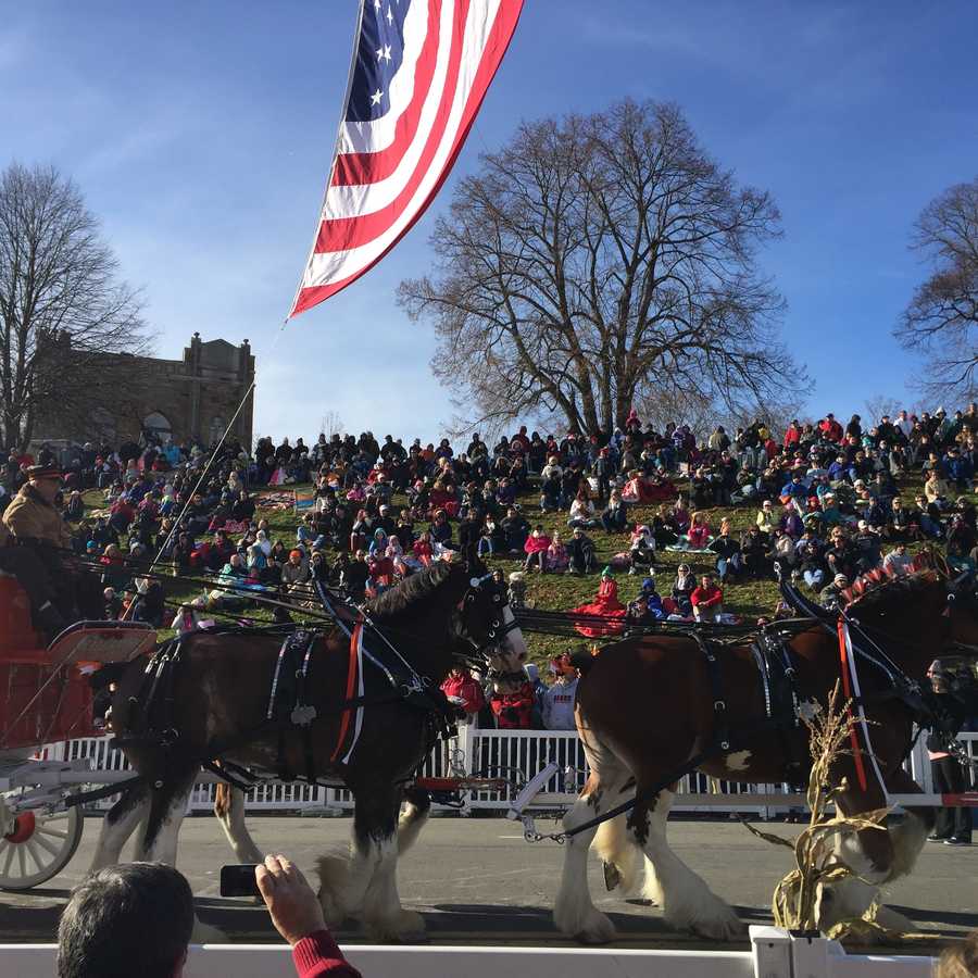 Photos: EyeOpener team headlines Plymouth Thanksgiving parade