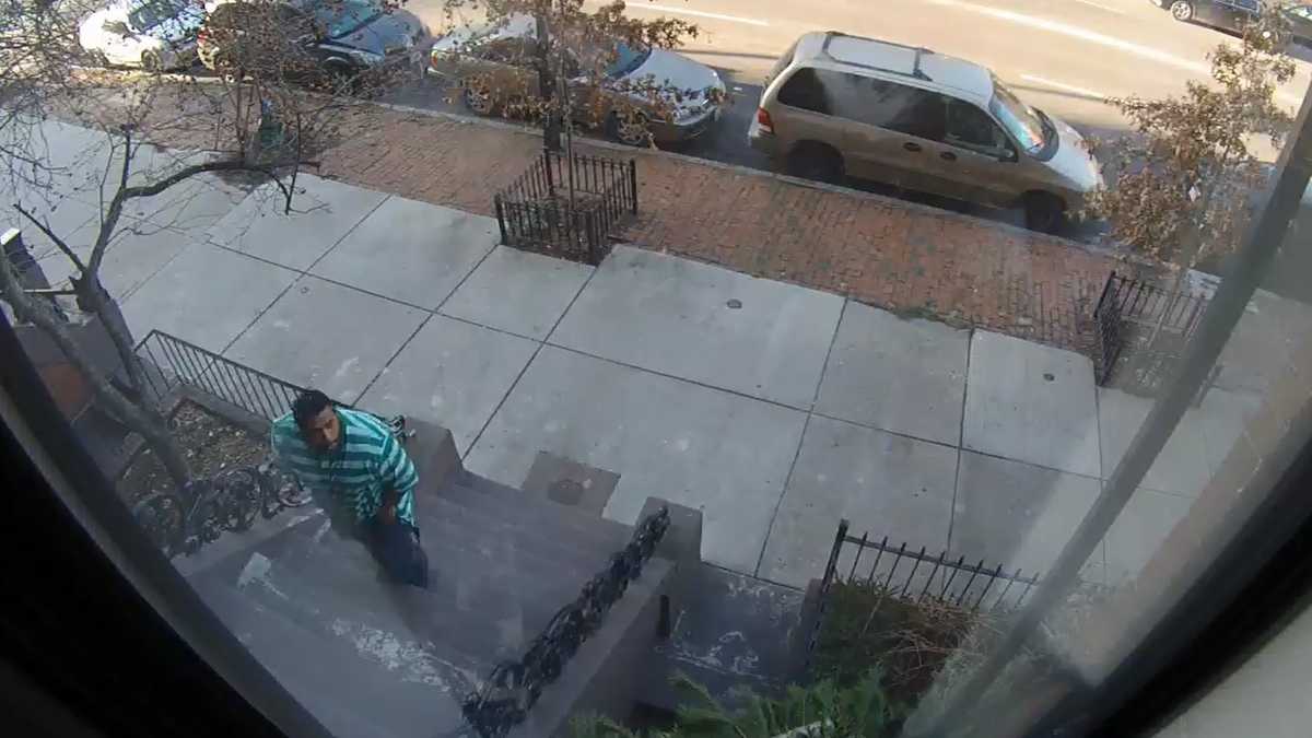 Camera captures Grinch stealing package from doorstep