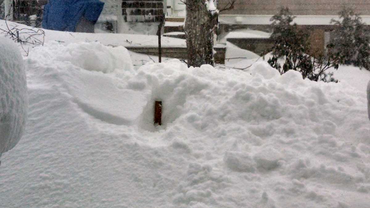 Snowfall totals: Who got what from blizzard