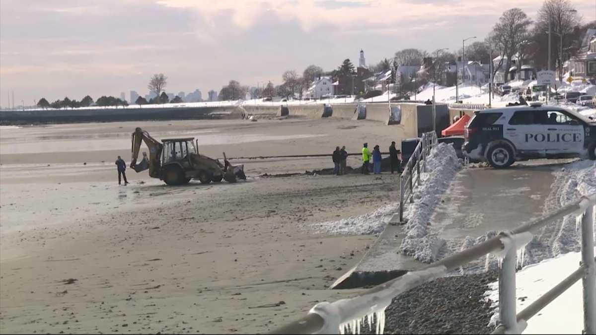 DA: Body parts found washed up with lobster trap on beach