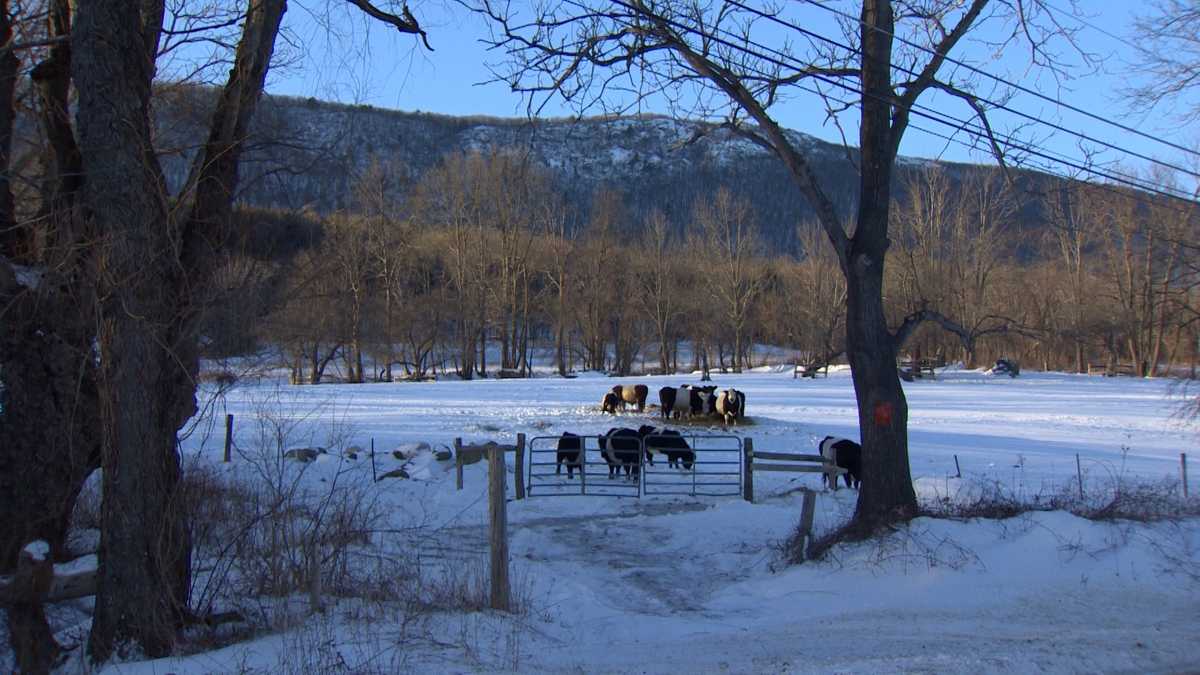 Wednesday, February 18: A Tank Away