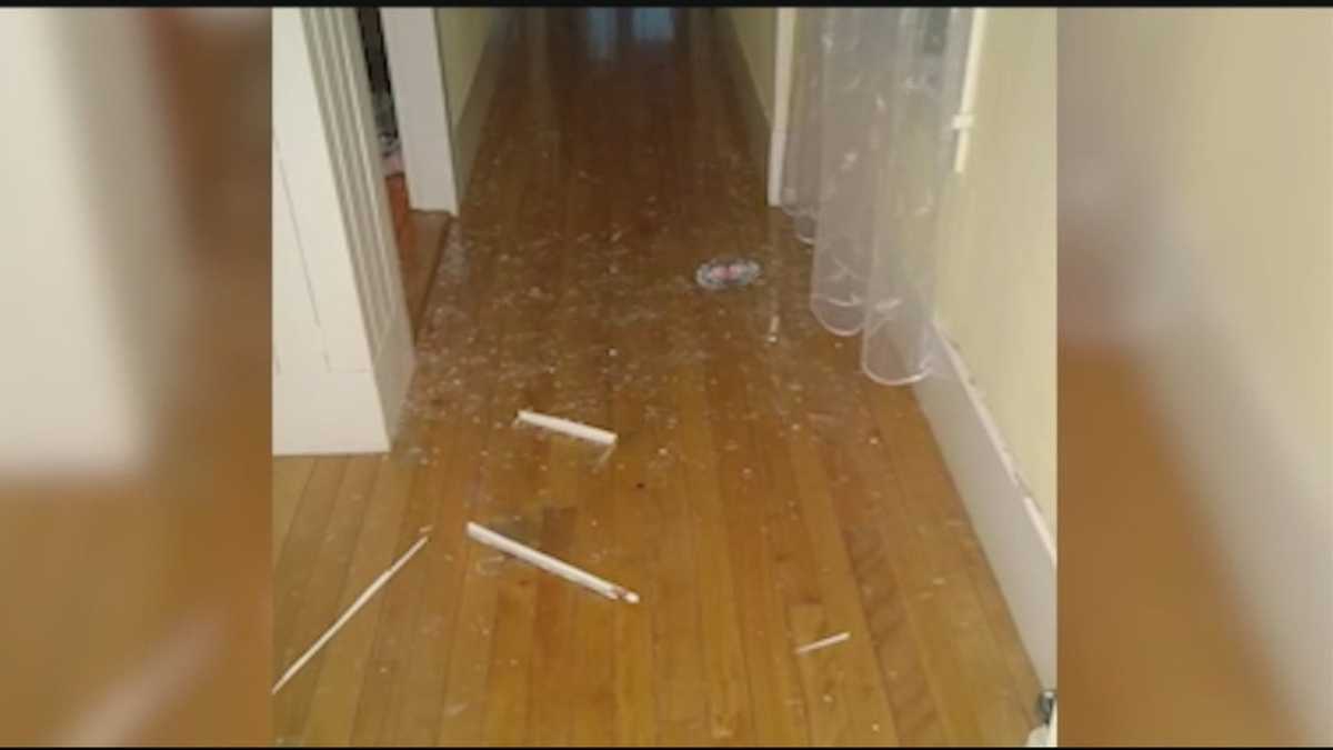 Deer tears through New Hampshire home