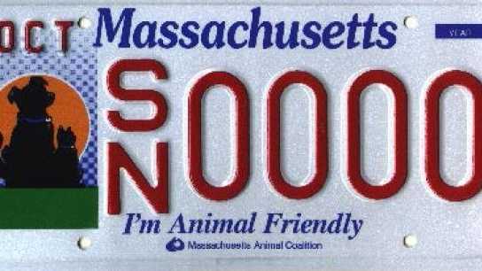 Take A Look Massachusetts 48 Specialty License Plates