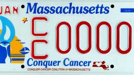 Take a look: Massachusetts 48 specialty license plates