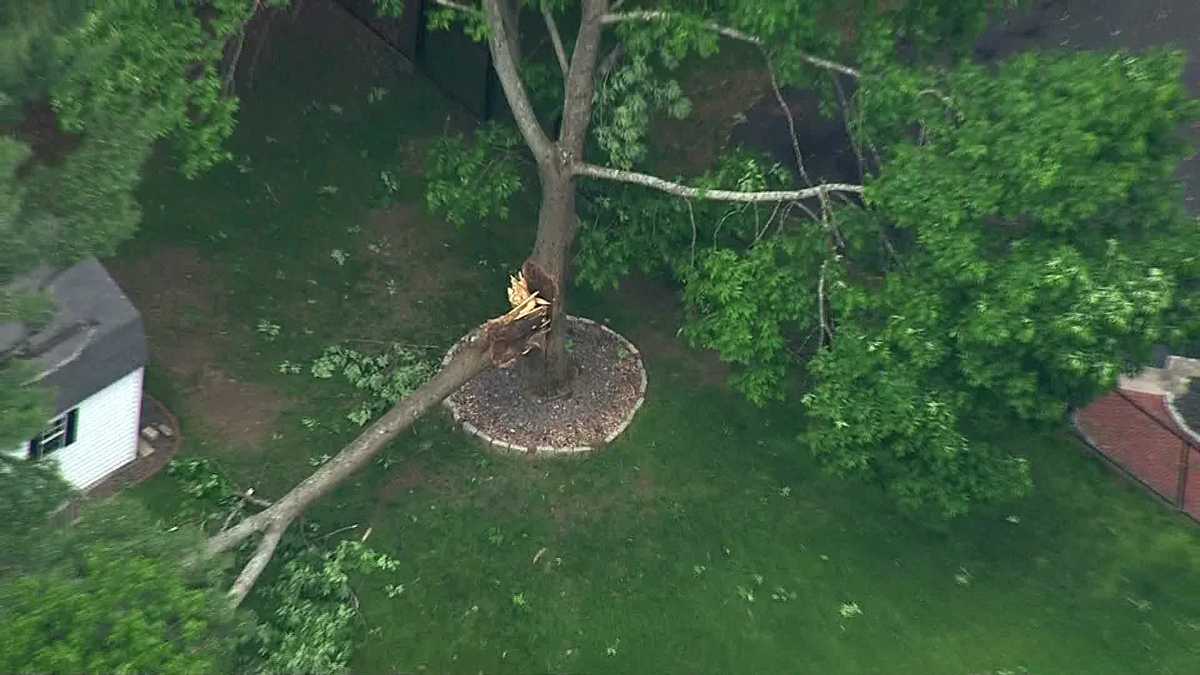 Microburst downs trees, damages homes in Methuen