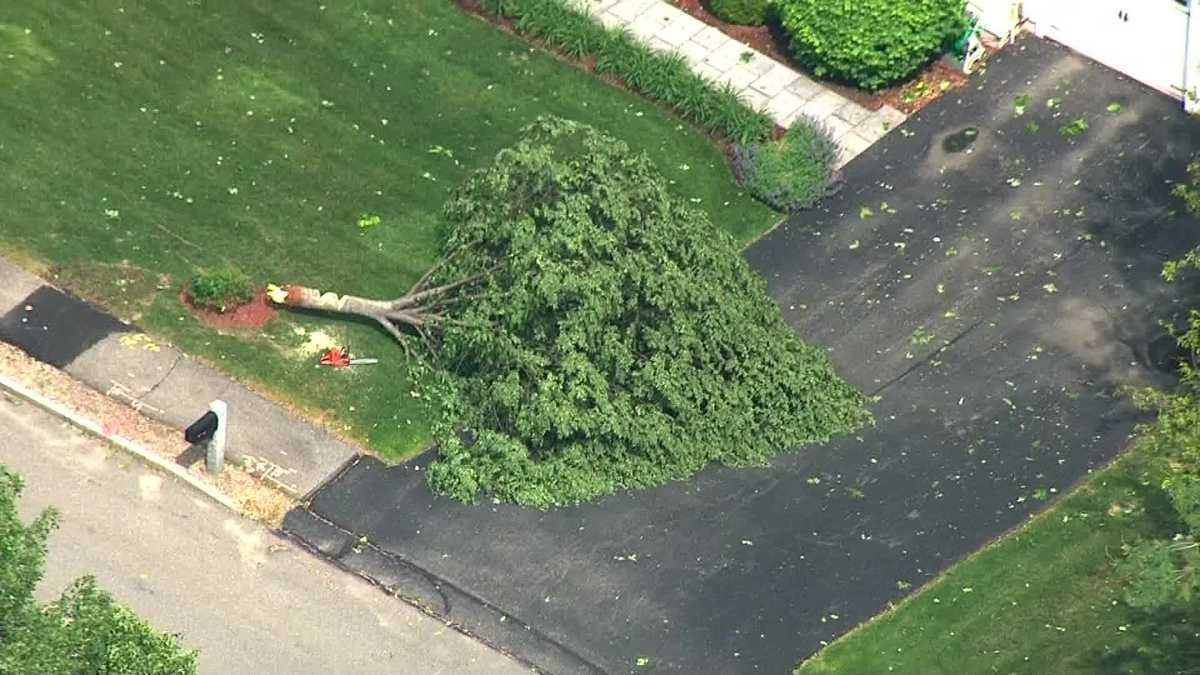 Microburst downs trees, damages homes in Methuen