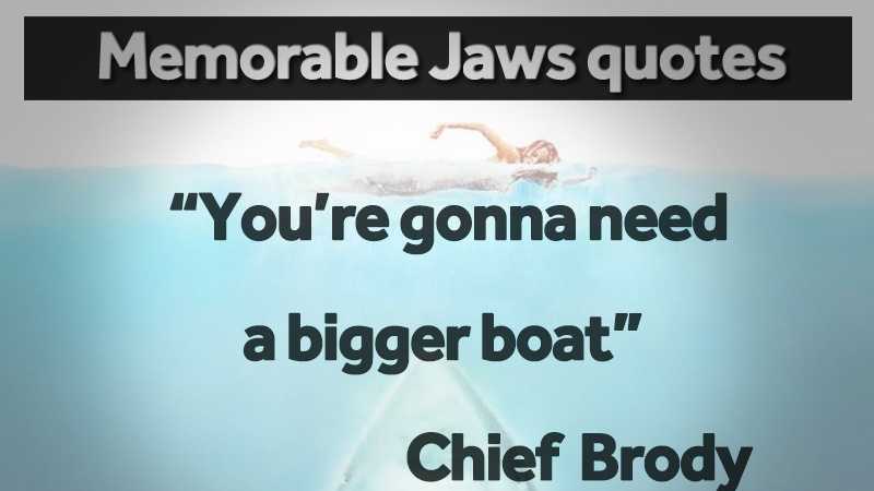 'Jaws' at 40: 17 memorable movie quotes