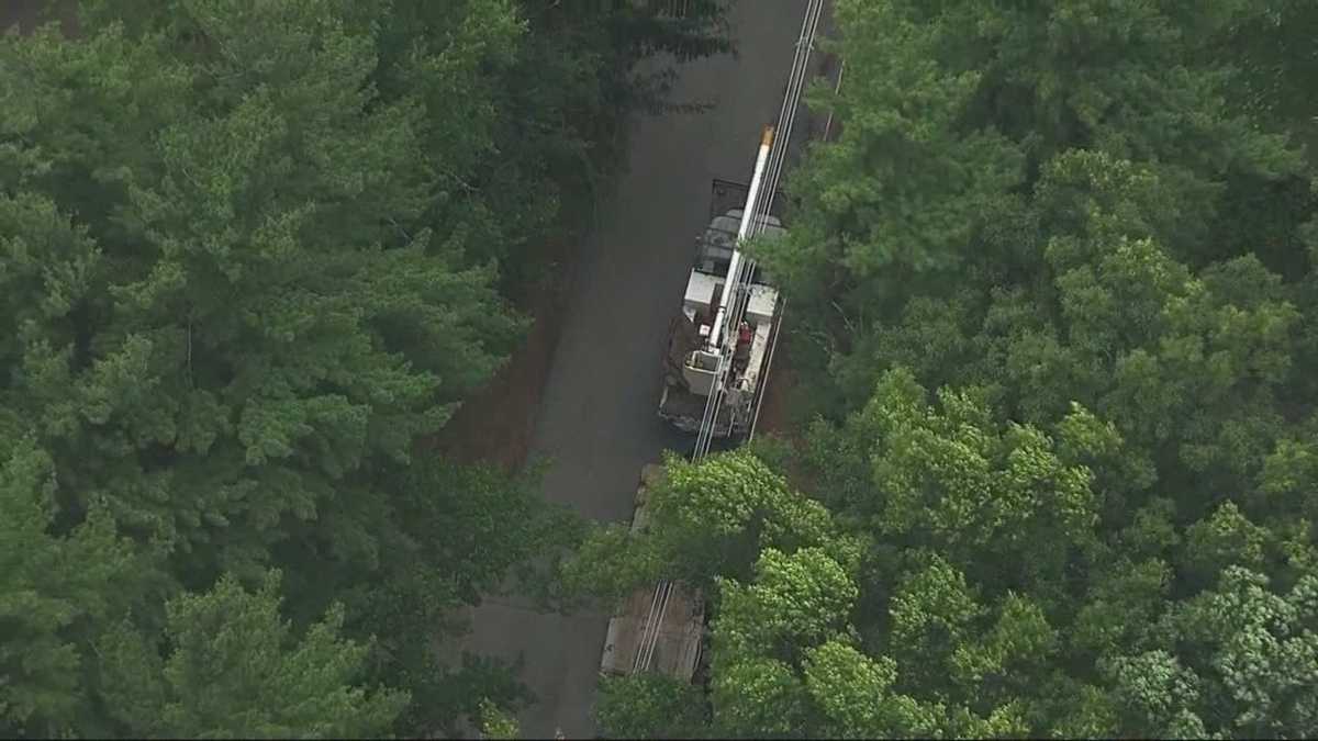 Tree worker hit by falling branch, suffers serious injuries