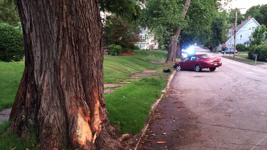 Unconscious Driver Crashes Into Trees Police Say