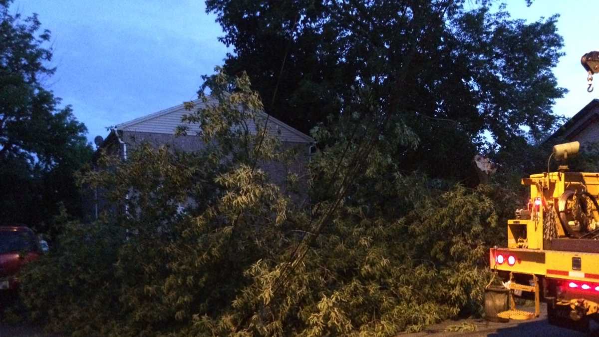 N.H. boy hit by falling tree during severe weather