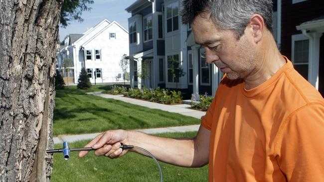 Thousands of area gas leaks poison environment, kill trees