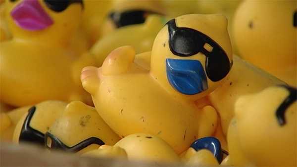 Winner of rubber duck race can dine anywhere in the world
