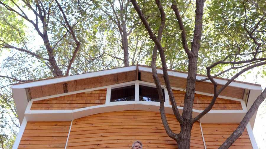 Man builds dream home in the trees
