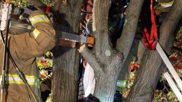 Boy rescued after getting stuck in tree
