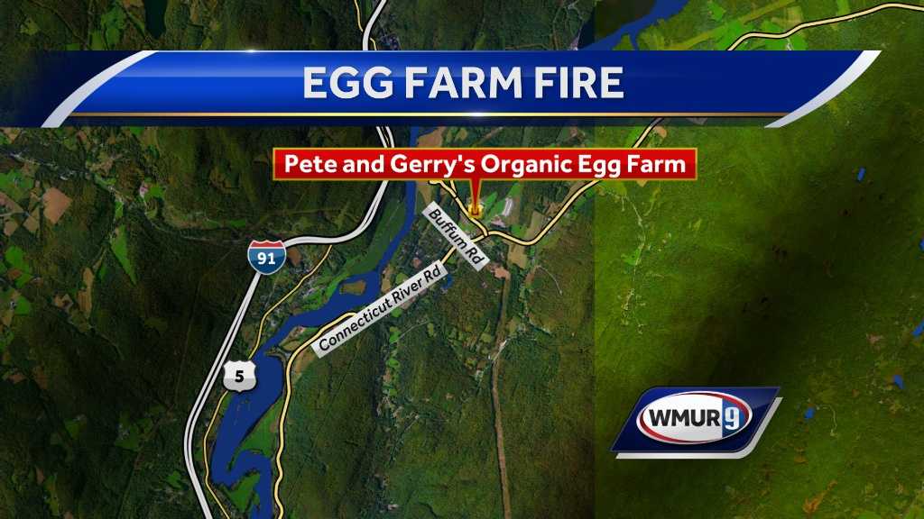 Thousands of hens killed in egg farm fire