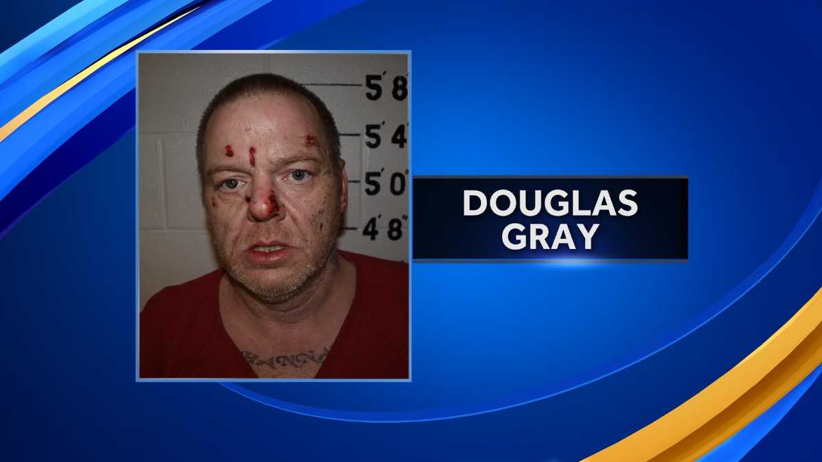 Man allegedly assaults police officer during traffic stop