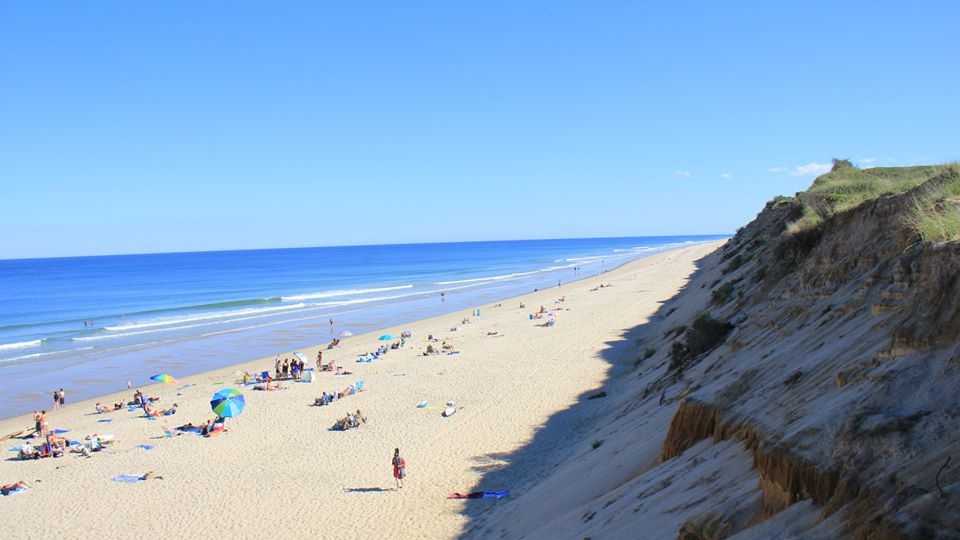 Q&A with Maria Stephanos, WCVB's newest evening anchor
