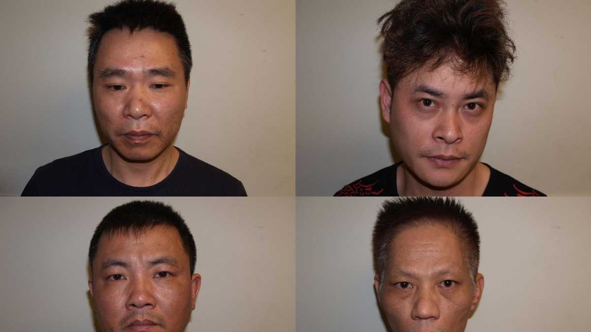 Police: Home invasion suspects may be tied to other break-ins