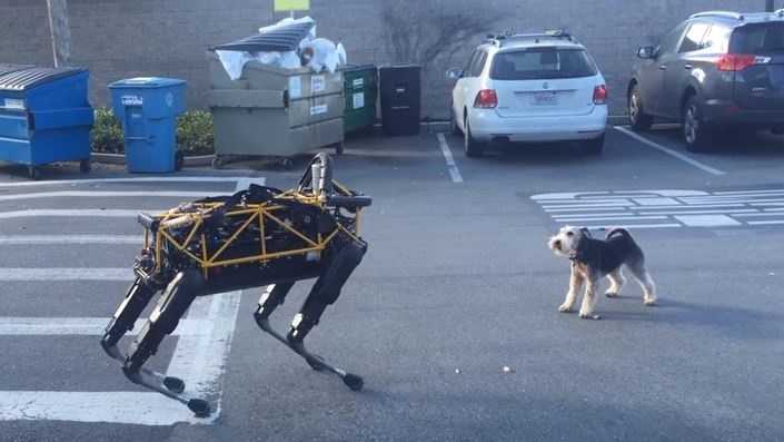 Video shows robotic dog 'Spot' get attention of real dog