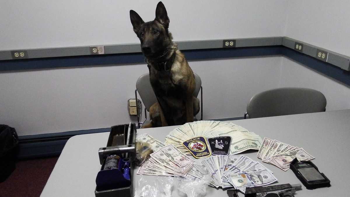 Police dog's first drug find is a big one
