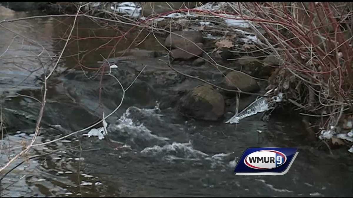 Body of young man found in stream