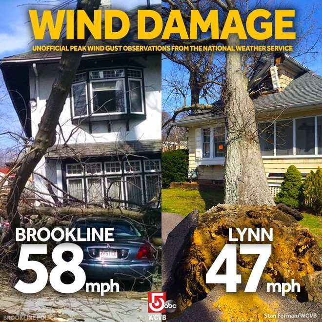 High wind warning: Gusts causing damage in several towns