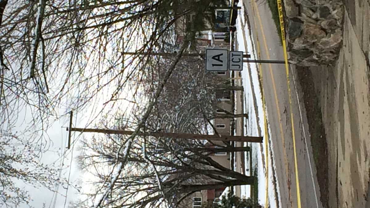 Heavy snow causes trees, power lines damage