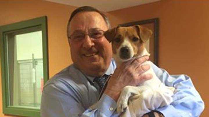 Woof! Name of governor's new dog will make you laugh