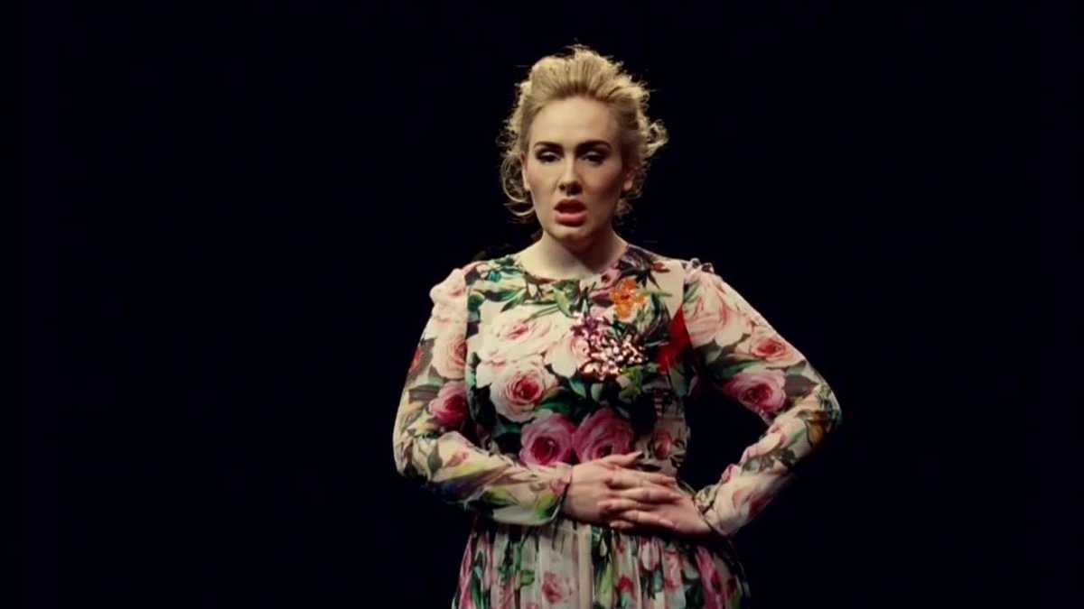 Adele shuts down fan for recording concert: 'You can enjoy it in real life'