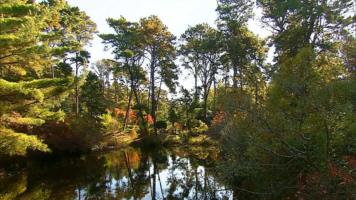 Thursday, July 28: Main Streets and Back Roads: Beauty of the Berkshires