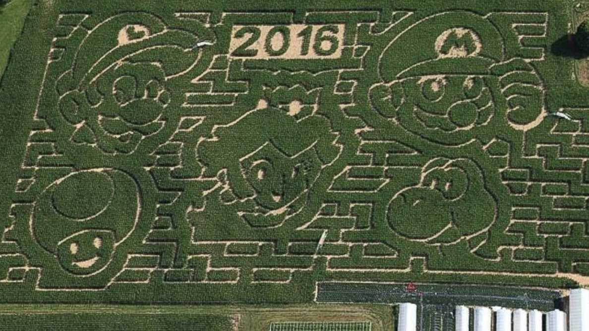 Mamma Mia! Stoughton Farm creates corn maze inspired by Super Mario Bros.