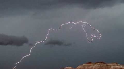 'Walking Murphy's law' survives lightning strike, spider, snake bites