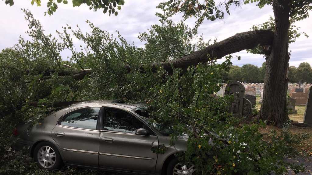 Trees ripped down from storms crush cars, damage homes