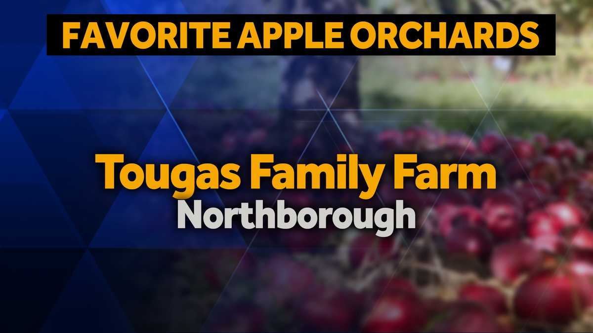 Best in Massachusetts: Apple picking