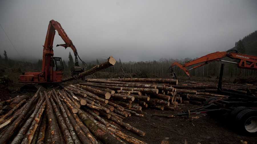 Popular History Channel reality star dies in car crash